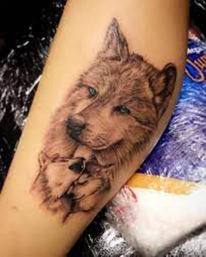 Tatouage Louve Et Louveteau